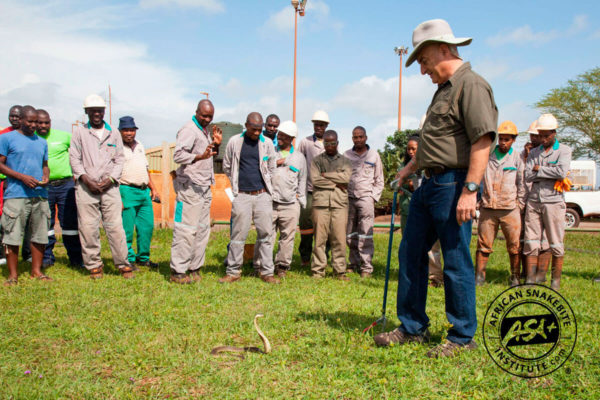 Snakes and workplace safety - African Snakebite Institute