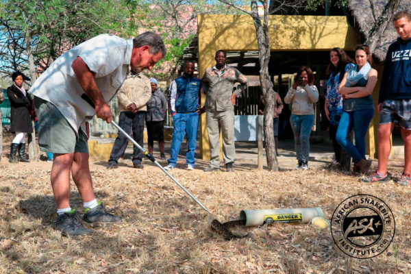 Snakes and workplace safety - African Snakebite Institute