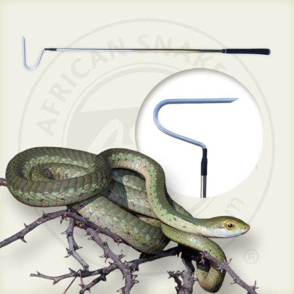 ASI Transparent Snake Bucket - 50 litres - African Snakebite Institute