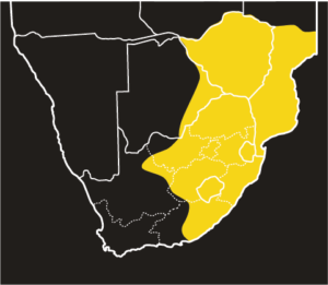Black-headed Centipede-eater - African Snakebite Institute
