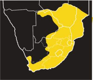 Herald or Red-lipped Snake - African Snakebite Institute