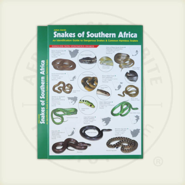 ASI Dangerous Snakes of Mozambique Poster (Printed) - African Snakebite ...
