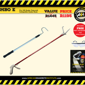 Beware of the Stiletto Snake - African Snakebite Institute