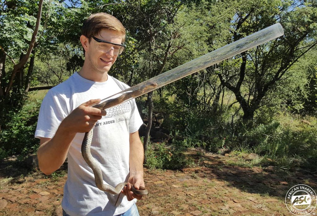 ASI Transparent Snake Handling Tubes - African Snakebite Institute