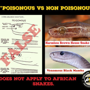 Myths, Hoaxes and Viral Posts - African Snakebite Institute