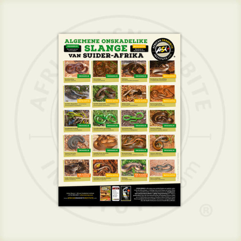 ASI Dangerous Snakes of Limpopo Poster (Printed) - African Snakebite ...