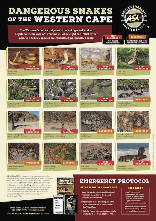 African Snakebite Institute