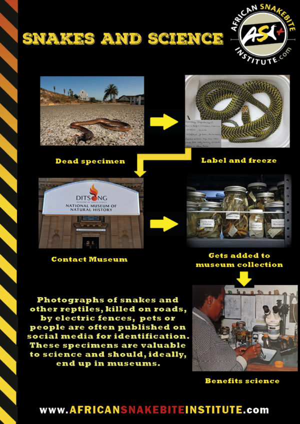 Snakes & Science - African Snakebite Institute