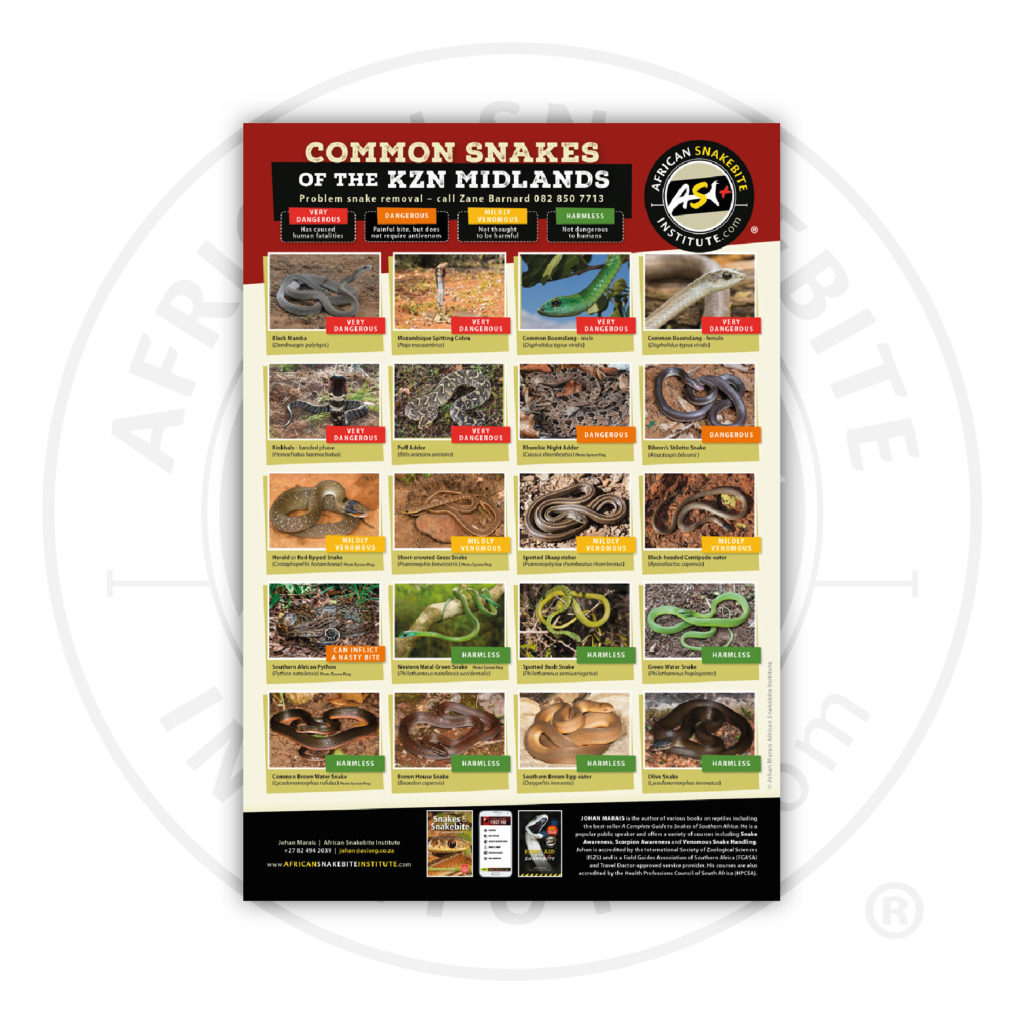 Common snakes of the KZN Midlands - African Snakebite Institute