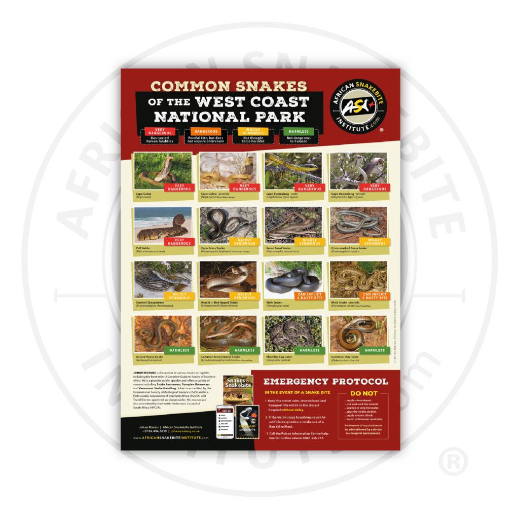 ASI Common Snakes of the West Coast National Park Poster (Printed ...
