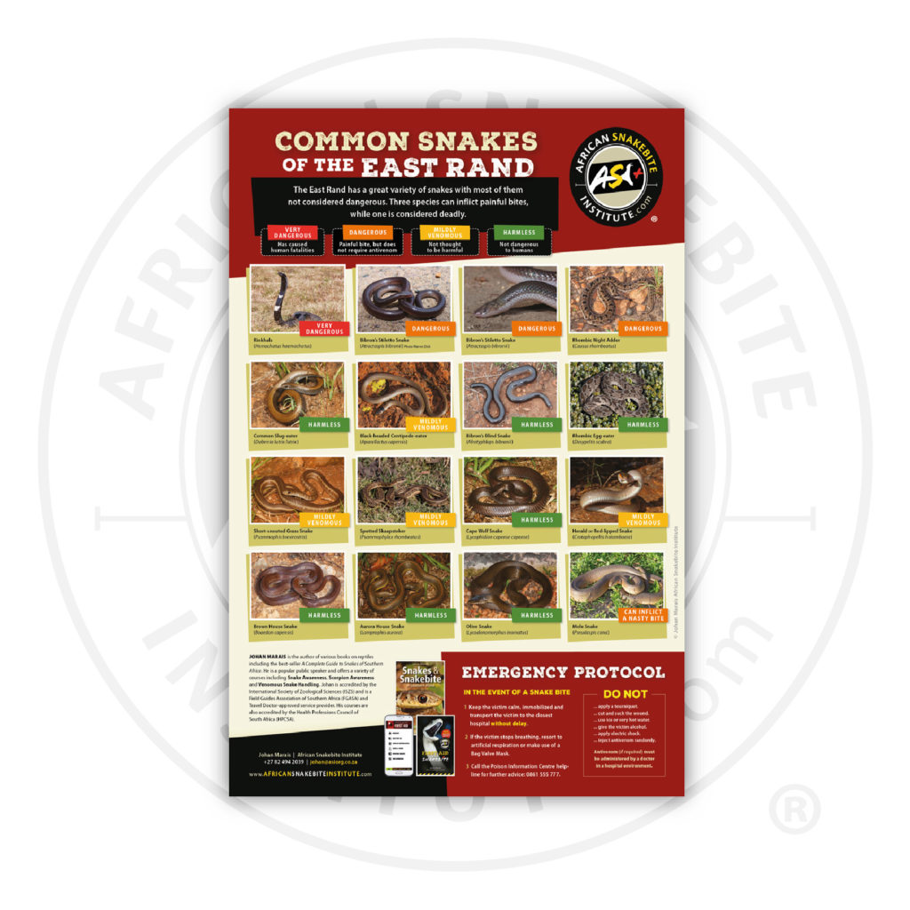 ASI Common Snakes of the East Rand Poster (Printed) - African Snakebite ...
