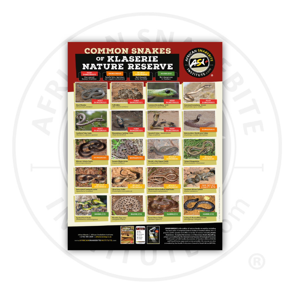 ASI Common Snakes of Klaserie Nature Reserve Poster (Printed) - African ...