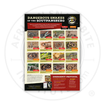 ASI Dangerous Snakes of the Soutpansberg Poster (Printed) - African ...