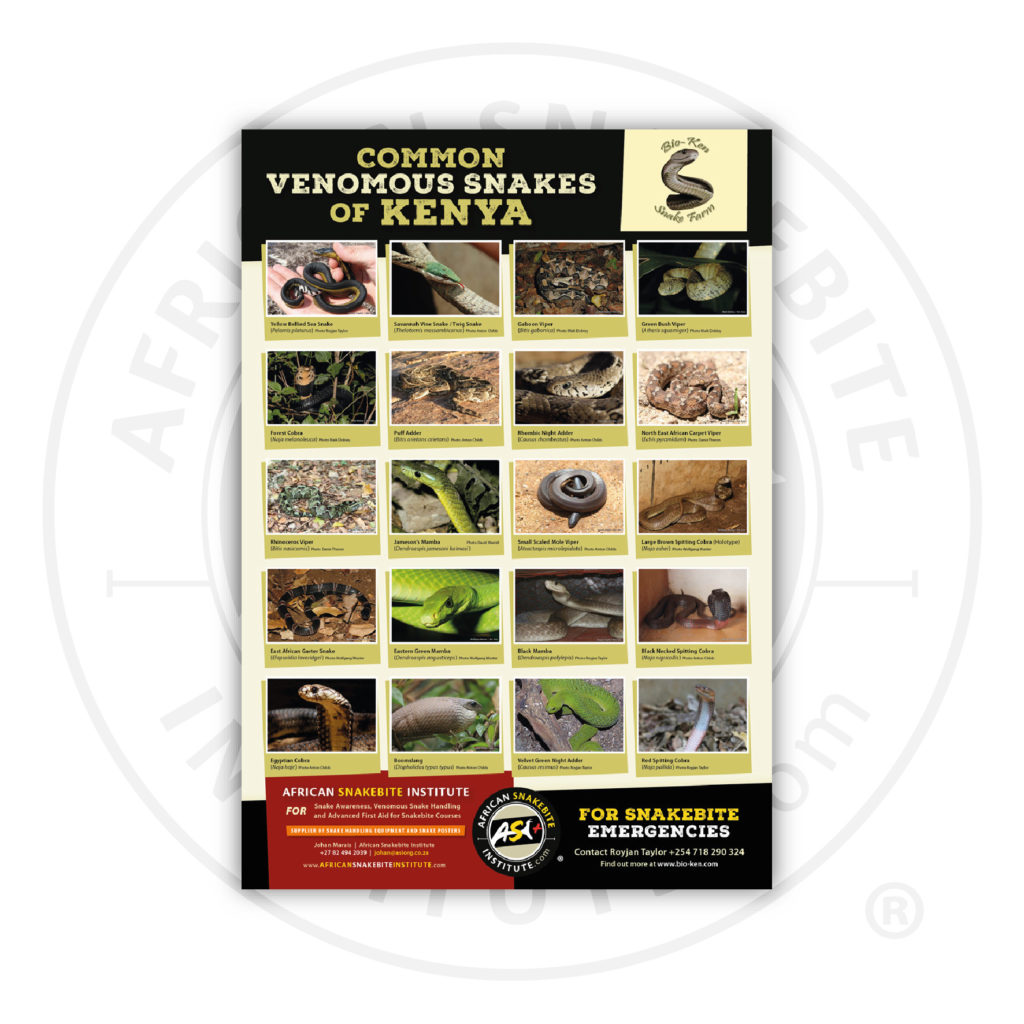 ASI Common Venomous Snakes of Kenya Poster (Printed) - African ...