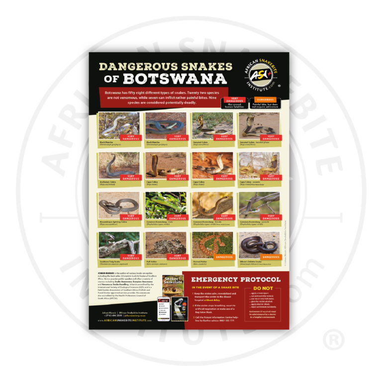 ASI Dangerous Snakes of Botswana Poster (Printed) - African Snakebite ...