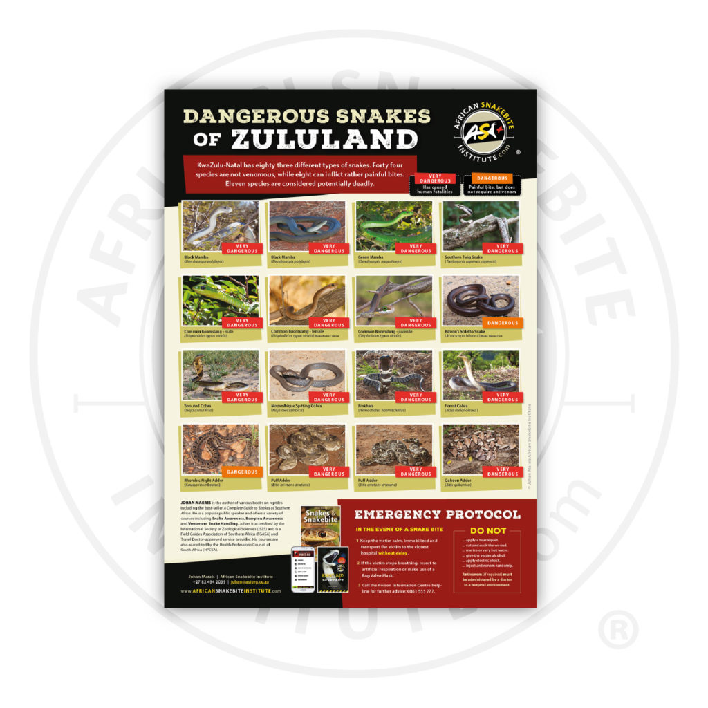 ASI Dangerous Snakes of Zululand Poster (Printed) - African Snakebite ...