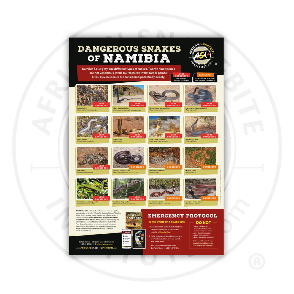 ASI Dangerous Snakes of Namibia Poster (Printed) - African Snakebite ...