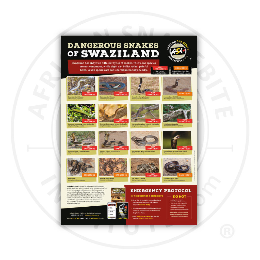 ASI Dangerous Snakes of Swaziland Poster (Printed) - African Snakebite ...