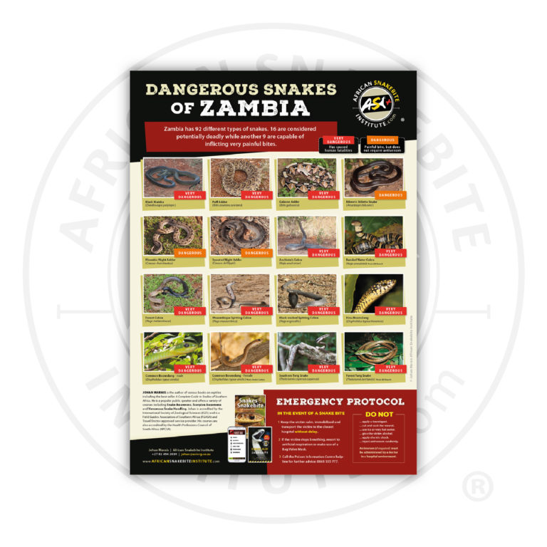 ASI Dangerous Snakes of Zambia Poster (Printed) - African Snakebite ...