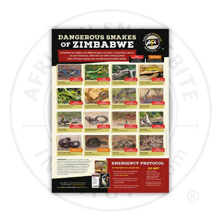 ASI Dangerous Snakes of Zimbabwe Poster (Printed) - African Snakebite ...