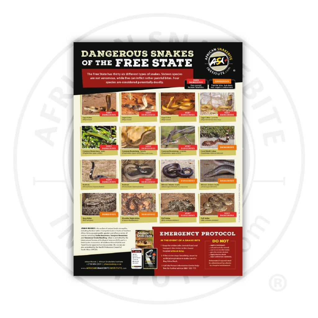 ASI Dangerous Snakes of the Free State Poster (Printed) - African ...