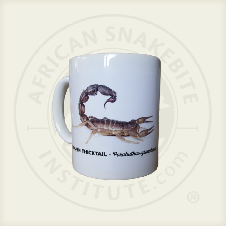 ASI Rough Thicktail Scorpion Mug - African Snakebite Institute