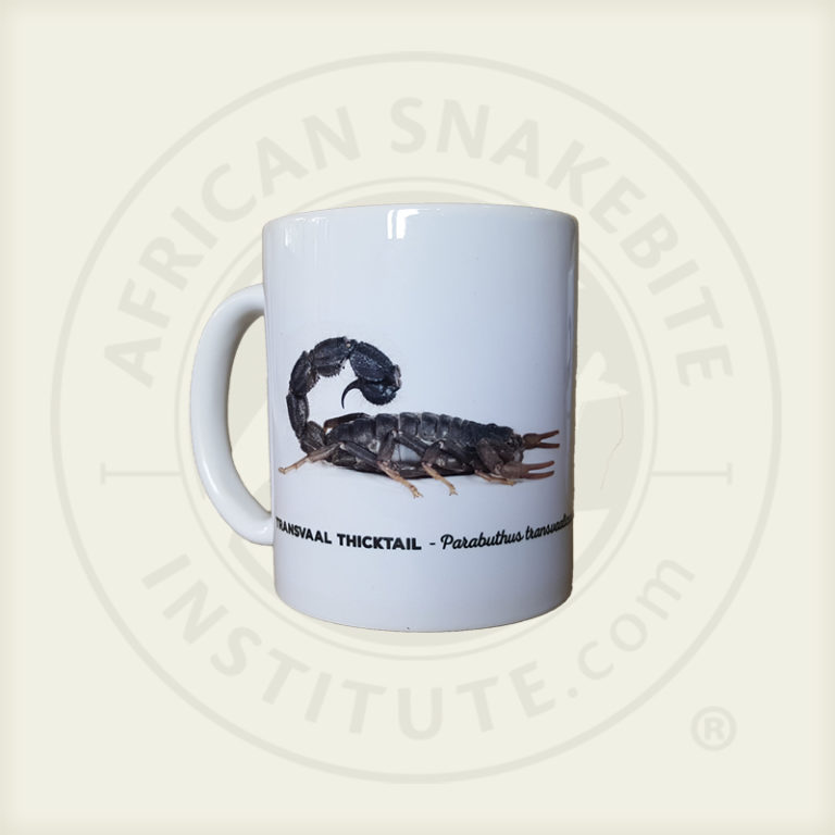ASI Transvaal Thicktail Scorpion Mug - African Snakebite Institute