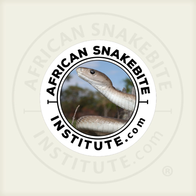 ASI Licence Disc Sticker - Black Mamba - African Snakebite Institute