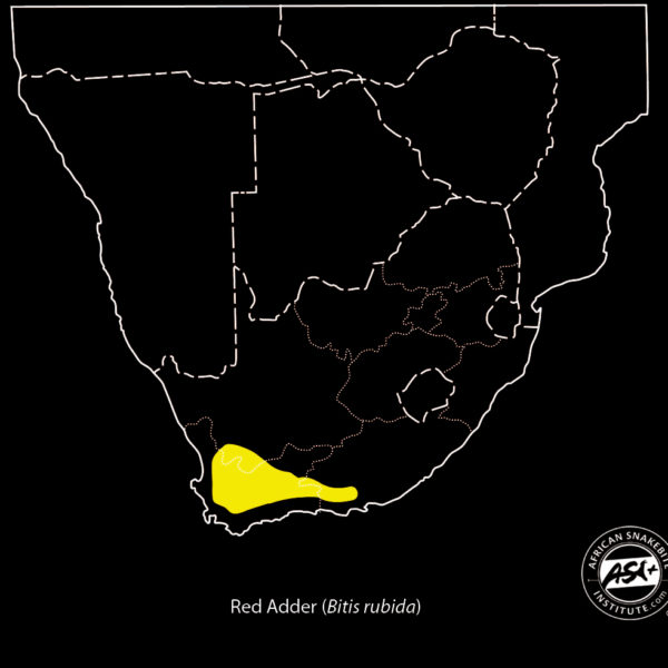 Red Adder - African Snakebite Institute