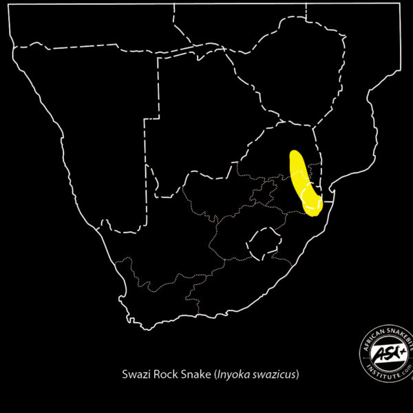 Swazi Rock Snake - African Snakebite Institute