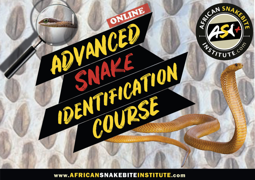 African Snakebite Institute