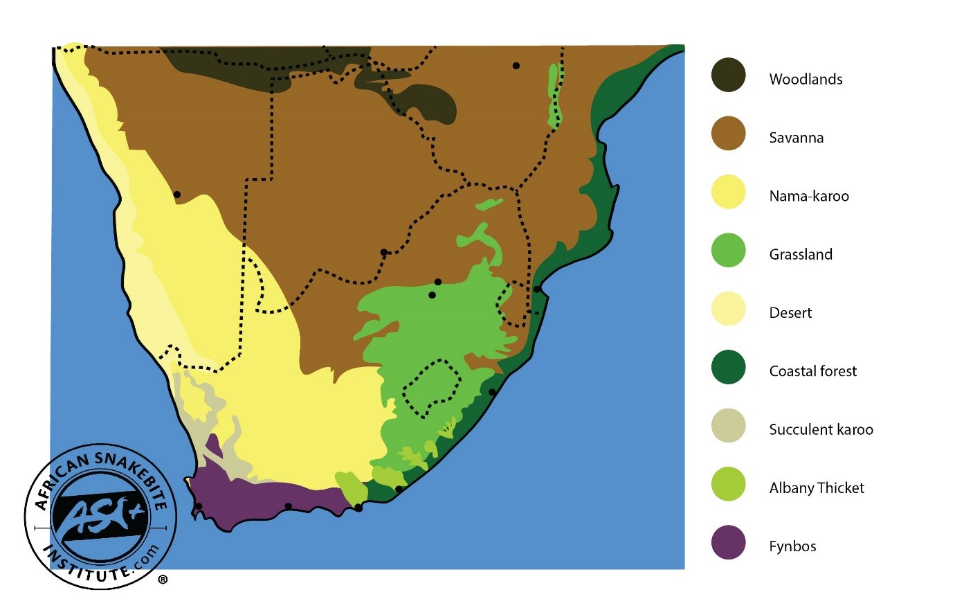 How to Identify Snakes? - African Snakebite Institute