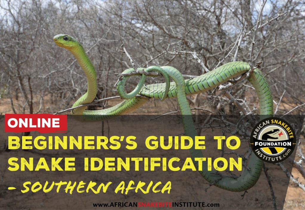 African Snakebite Institute