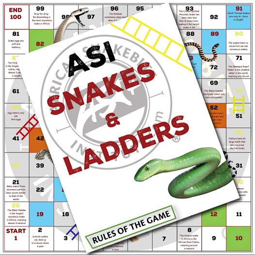 Wobble Viper Rubber Toy Snake Assorted - African Snakebite Institute