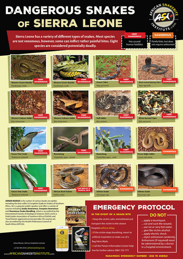 Snake Safety On-site - African Snakebite Institute