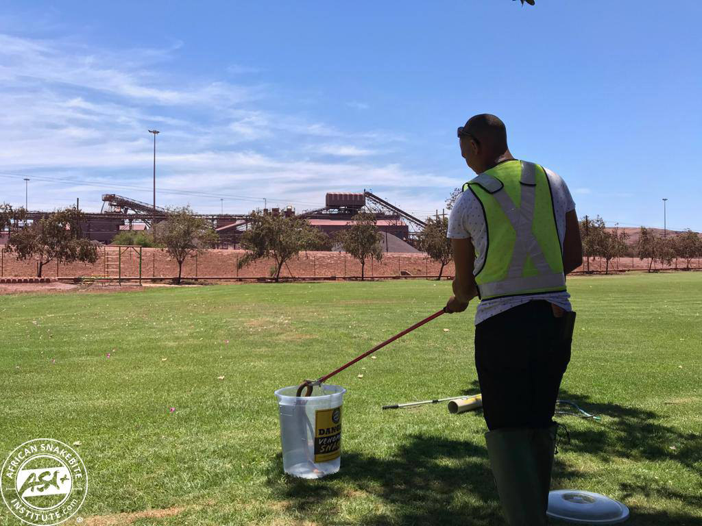 Snake Safety On-site - African Snakebite Institute