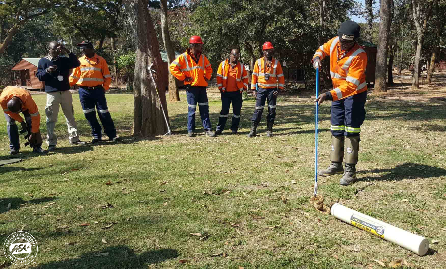 How to become a snake catcher in South Africa? - African Snakebite ...