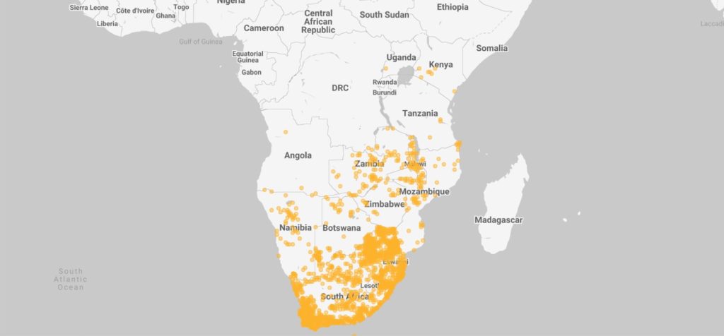 Snake Sightings - African Snakebite Institute