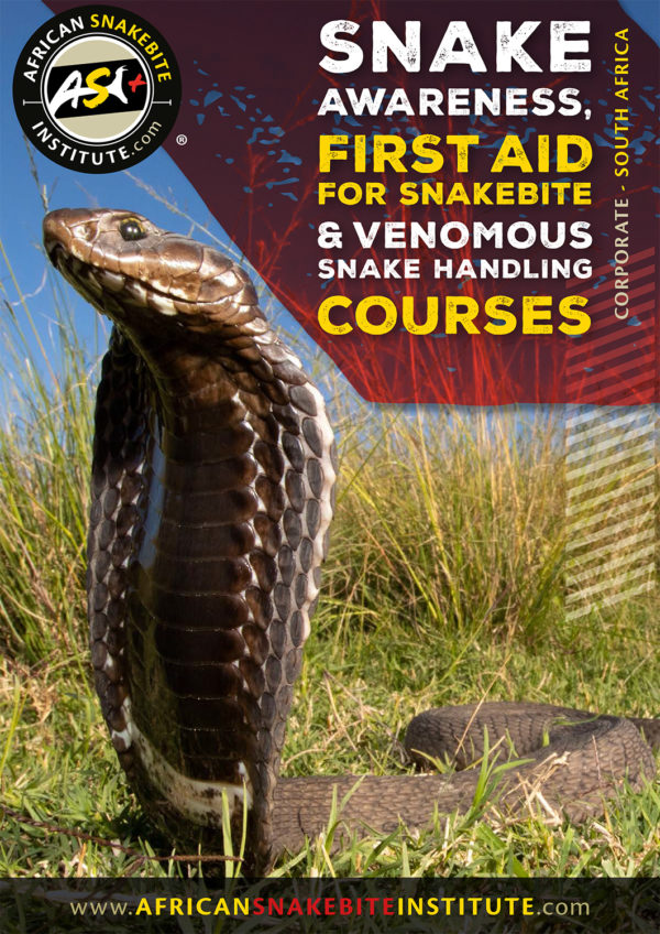 Corporate Snake Training - South Africa - African Snakebite Institute