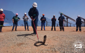 Snakes and workplace safety - African Snakebite Institute