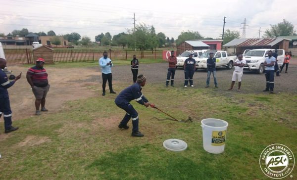 Snakes and workplace safety - African Snakebite Institute