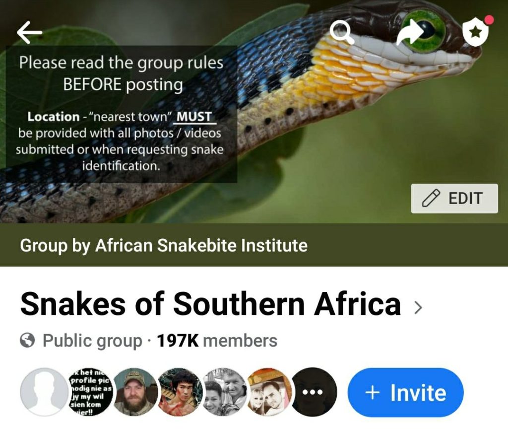 Snakes and workplace safety - African Snakebite Institute