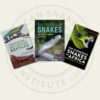 The 6 Common Green Snakes of South Africa - African Snakebite Institute
