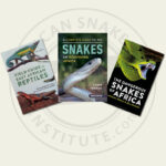 African Rock Python - African Snakebite Institute