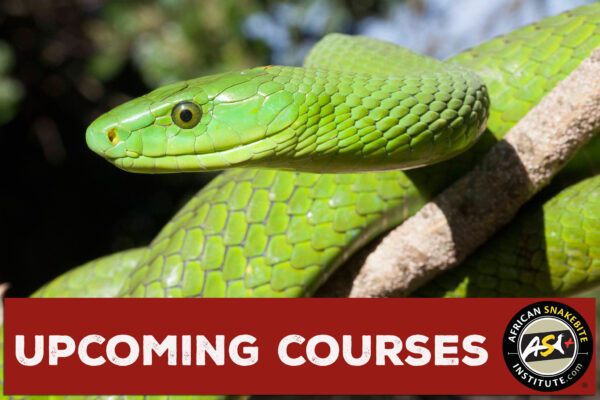 Durban Snake Courses - African Snakebite Institute