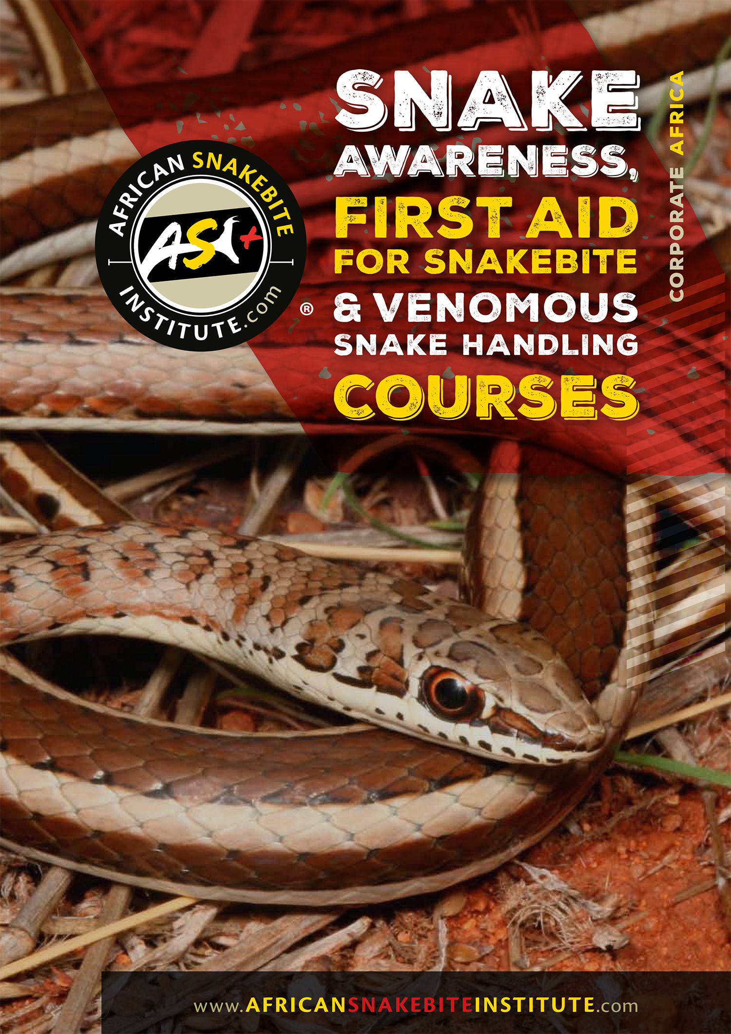 Corporate Training - Africa - African Snakebite Institute