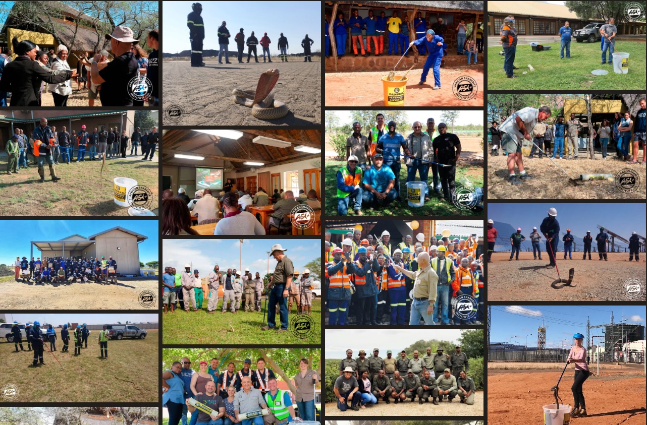 Snakes on mines - African Snakebite Institute