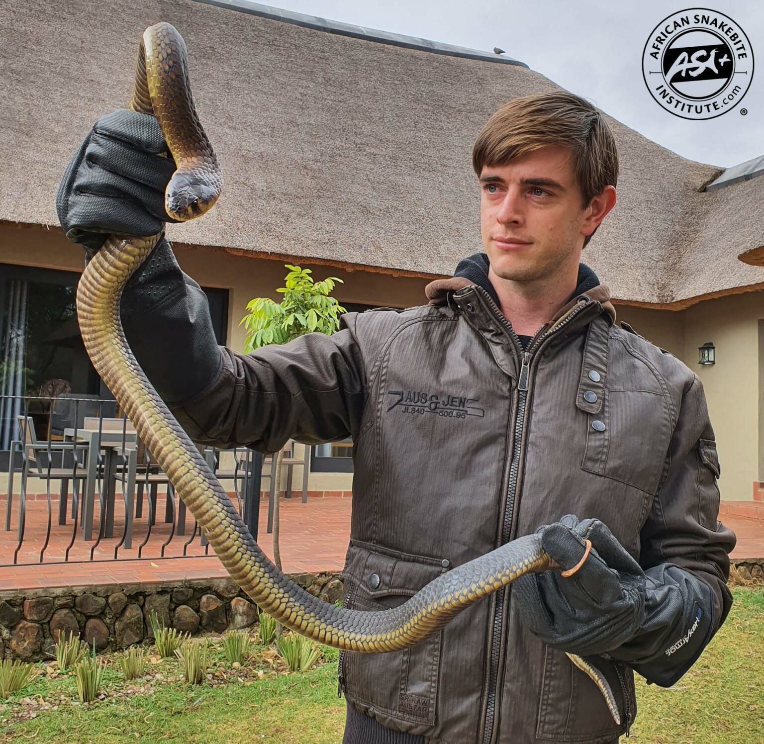 HexArmor Snake Resistant Gloves - African Snakebite Institute
