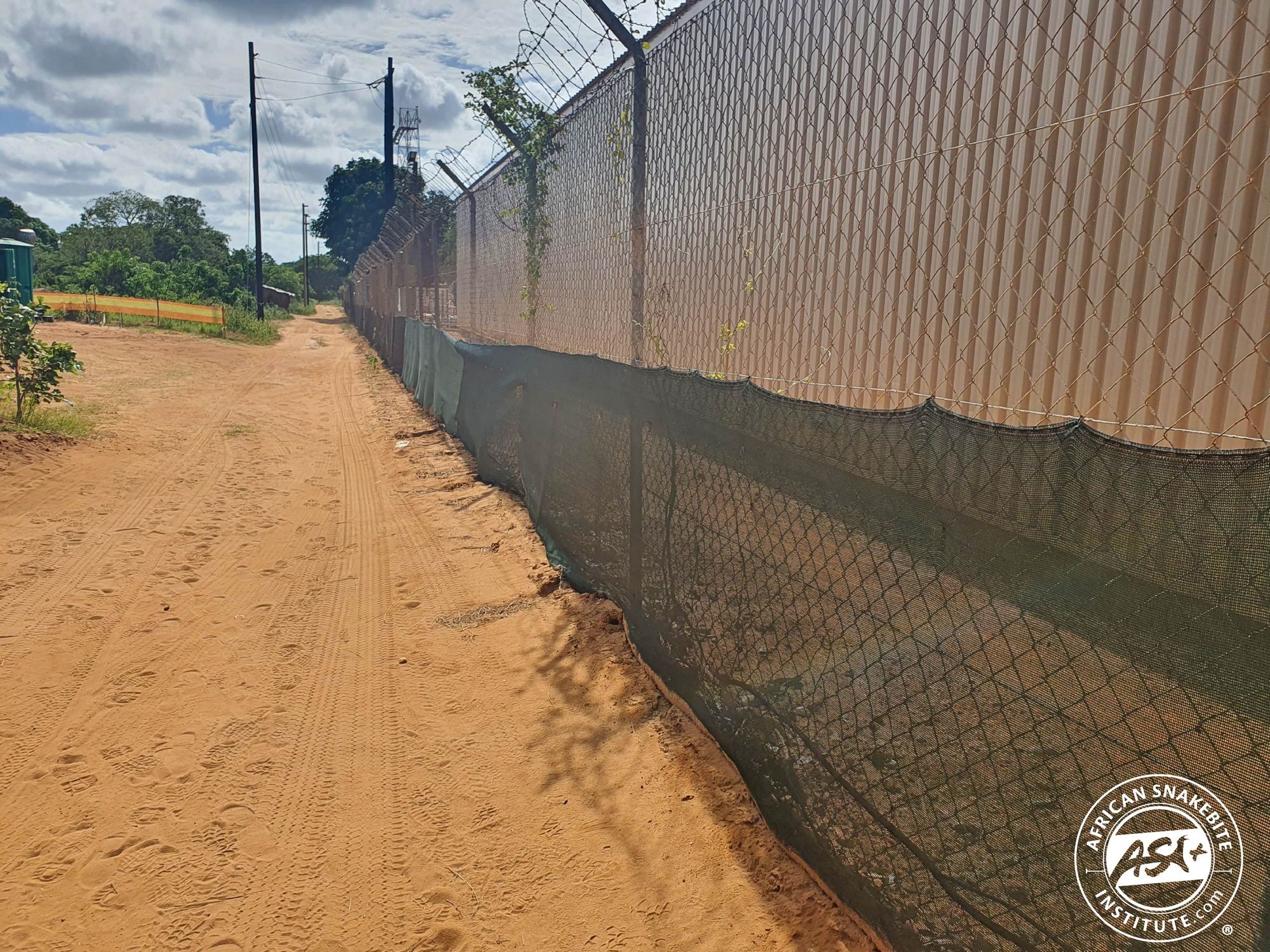 Hands off when it comes to snake removal! - African Snakebite Institute