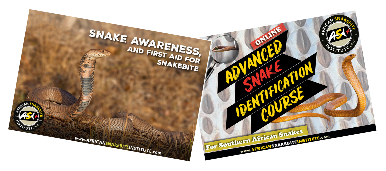 ASI Foundation - World Snake Day Raffle - African Snakebite Institute